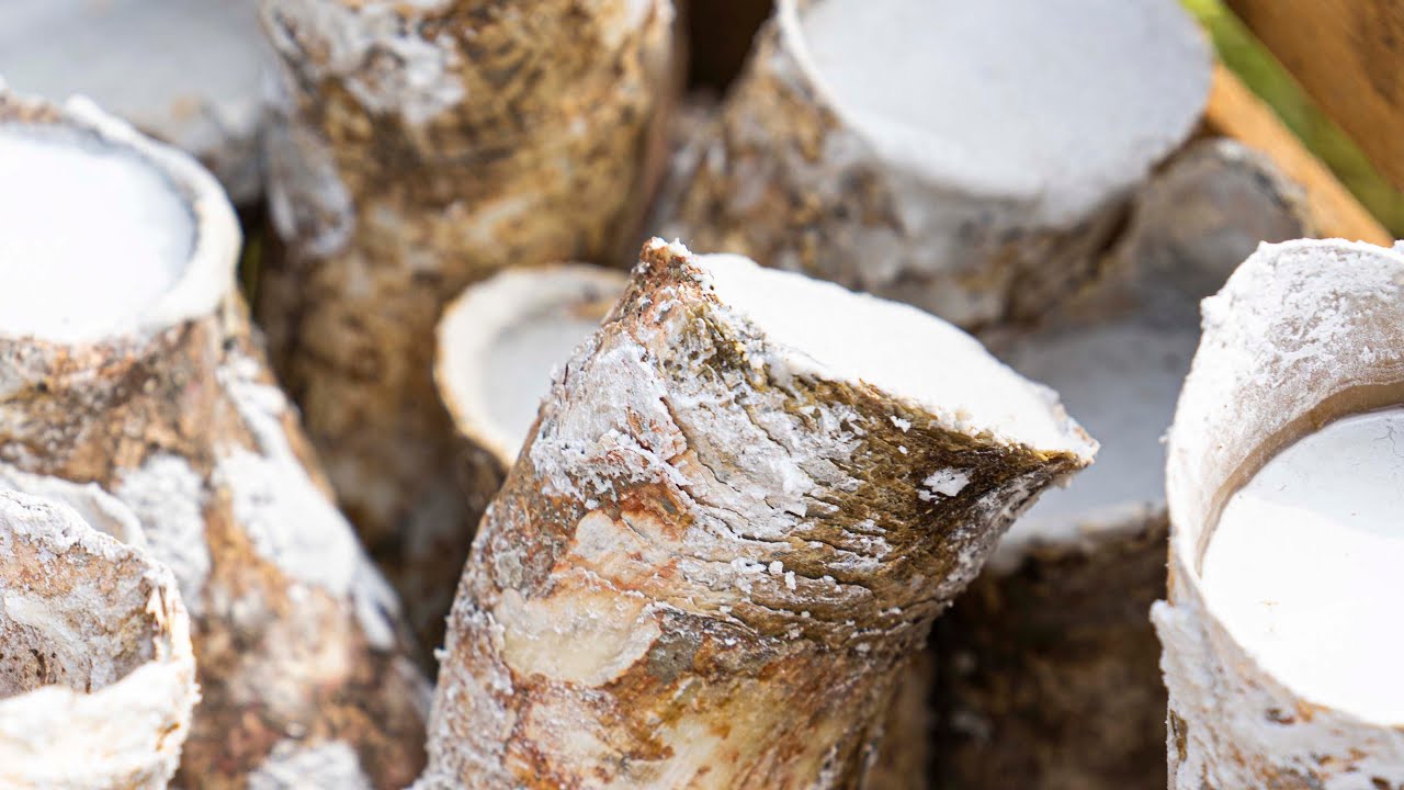 501 horn silica biodynamic preparation - YouTube