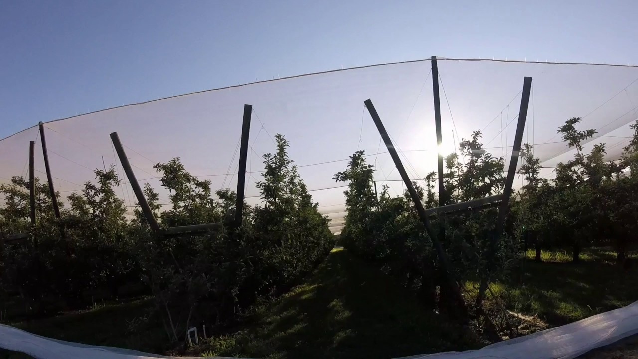 Farm - YouTube