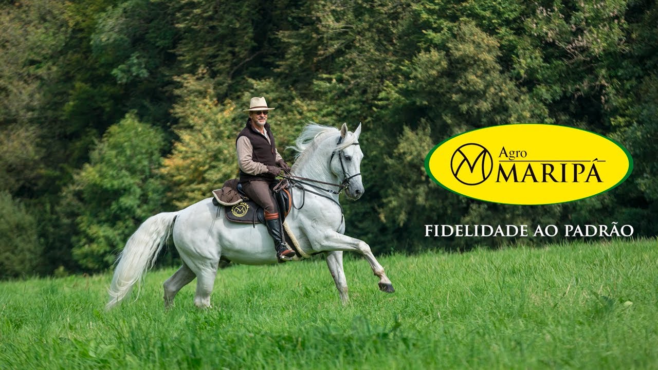 Agro Maripá - Vídeo Institucional - YouTube