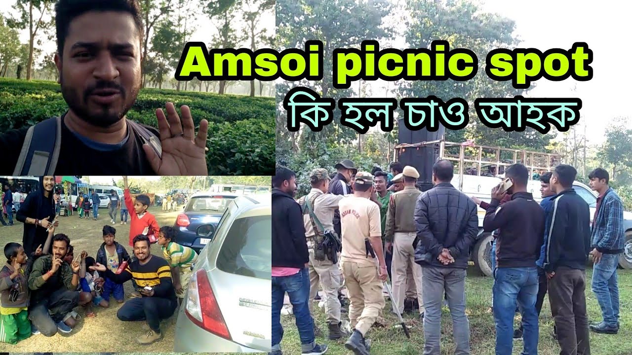Amsoi picnic spot | amsoi picnic spot Nagaon || amsoi picnic place ...