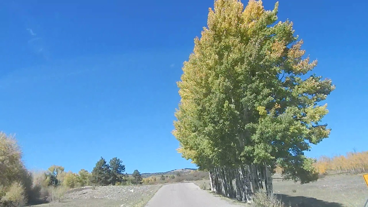 Carson National Forest road 129, (to the Canjilon Lakes), New Mexico ...