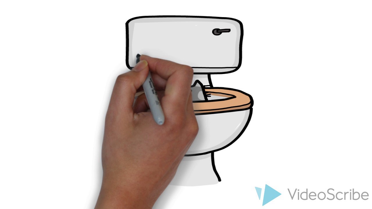 Pooping cat animation!!! - YouTube