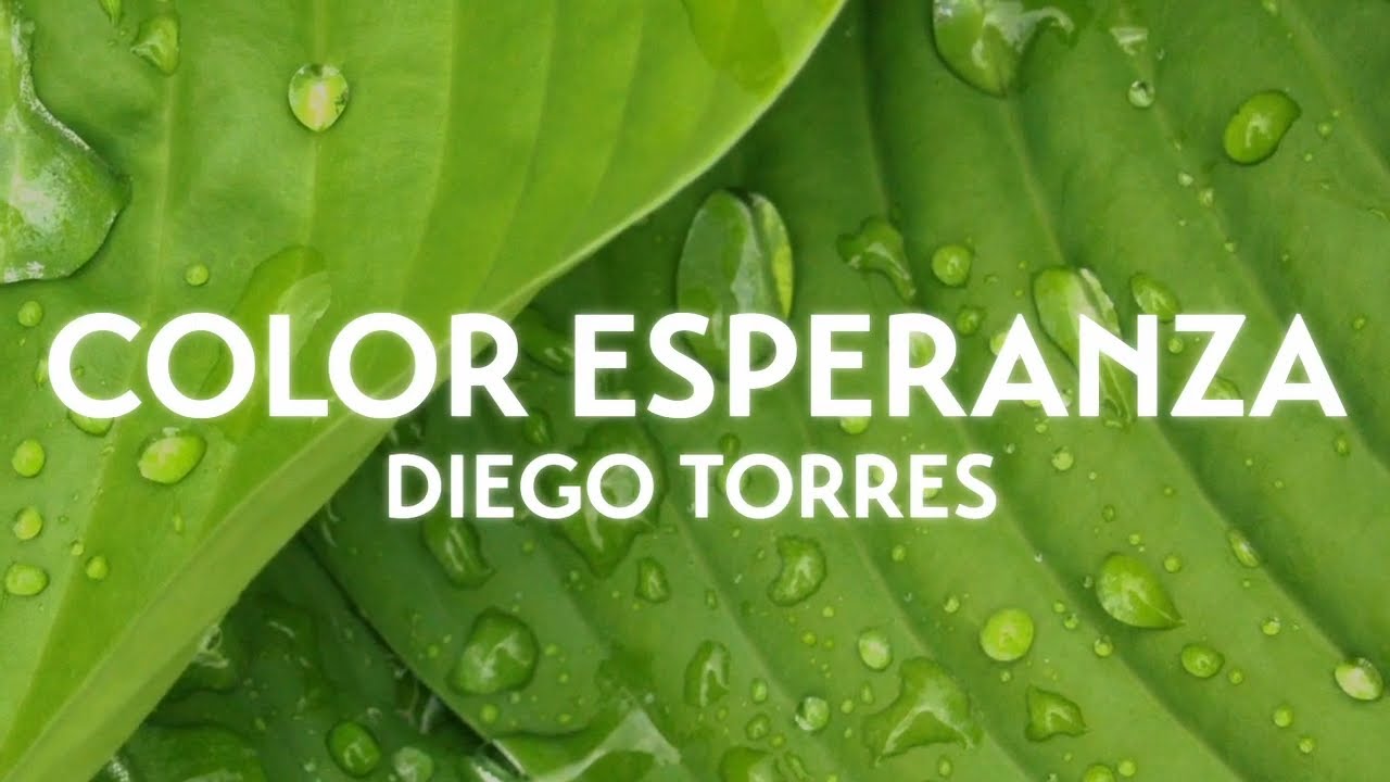 Diego Torres - Color Esperanza (video con letra) - YouTube