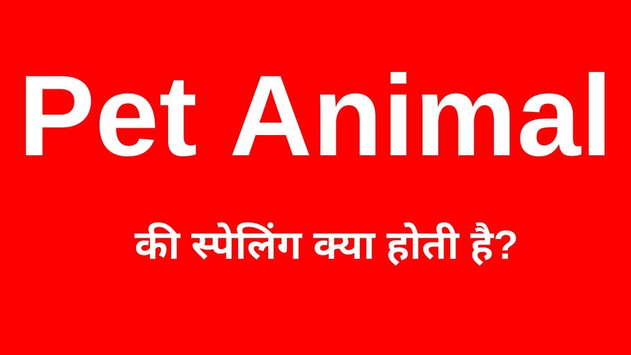 Pet Animal Ki Spelling | Pet Animal Ka Spelling | पेट एनिमल की स्पेलिंग ...
