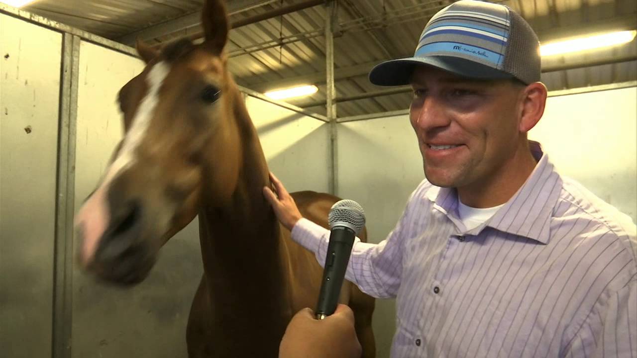 Interview with trainer Matt Fales - YouTube