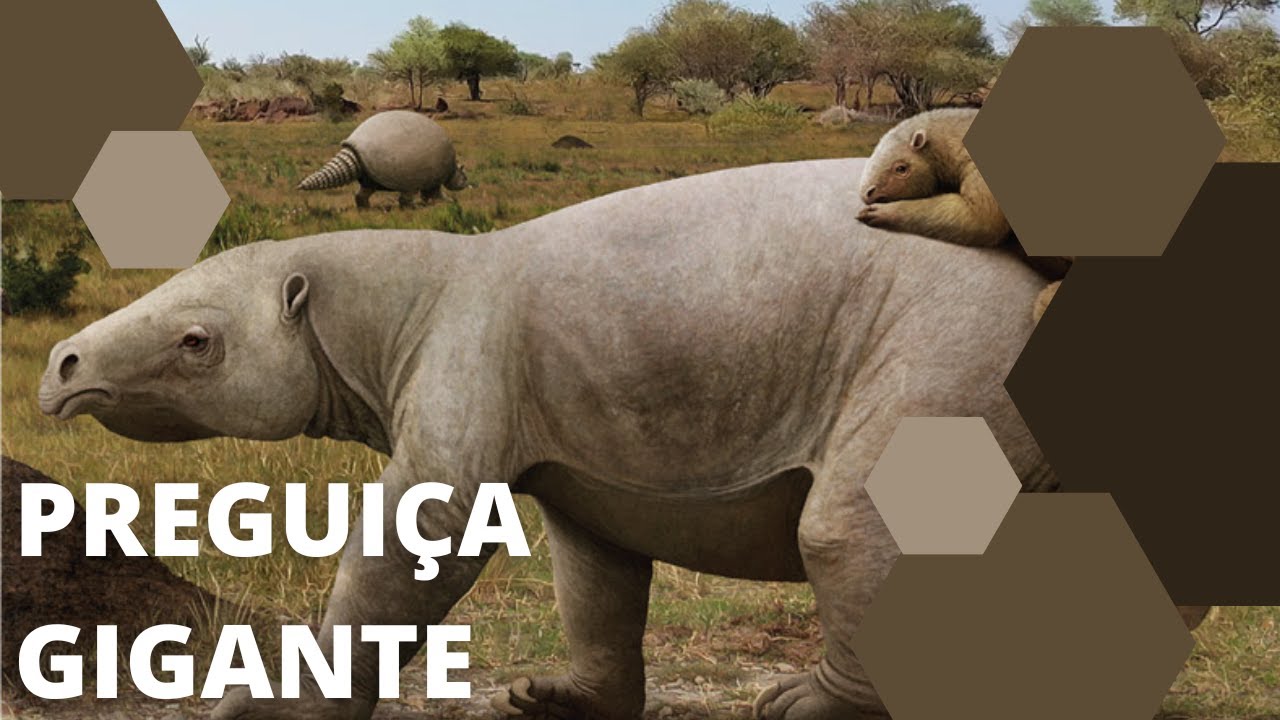 Eremotherium - a preguiça-gigante | Fósseis do Museu #05 - YouTube