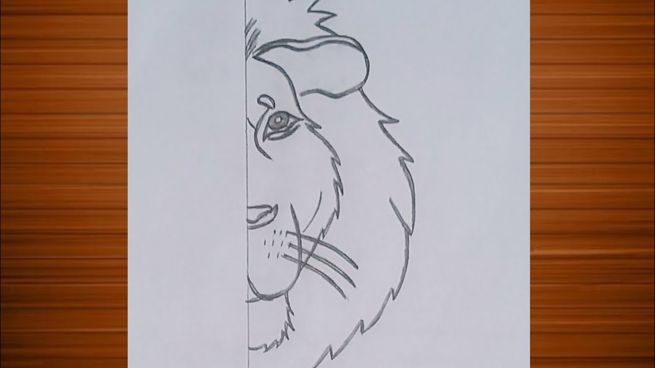 Half Lion Face Drawing 🦁 | Easy Lion Drawing Step by Step - YouTube