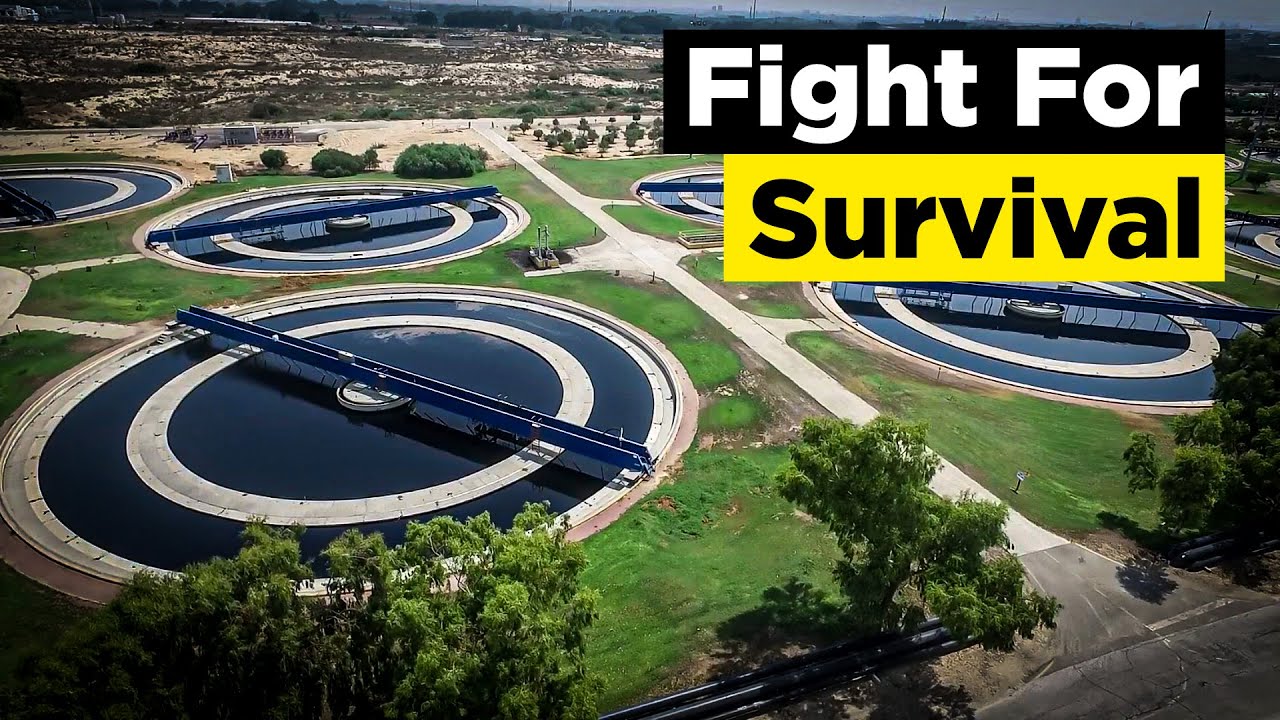 How Israel Became the Only Country with a Water Surplus - YouTube