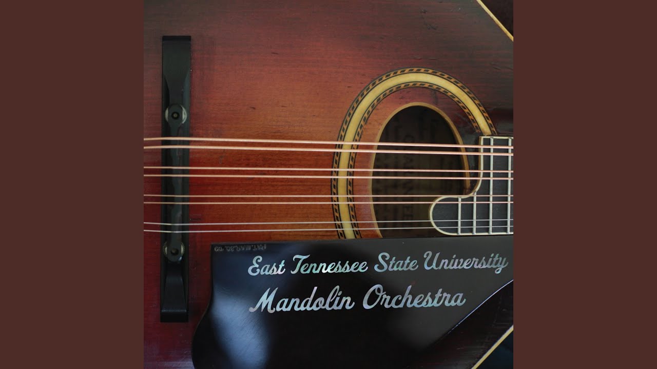 Mandolin Concerto in C Major Rv 425, Allegro - YouTube