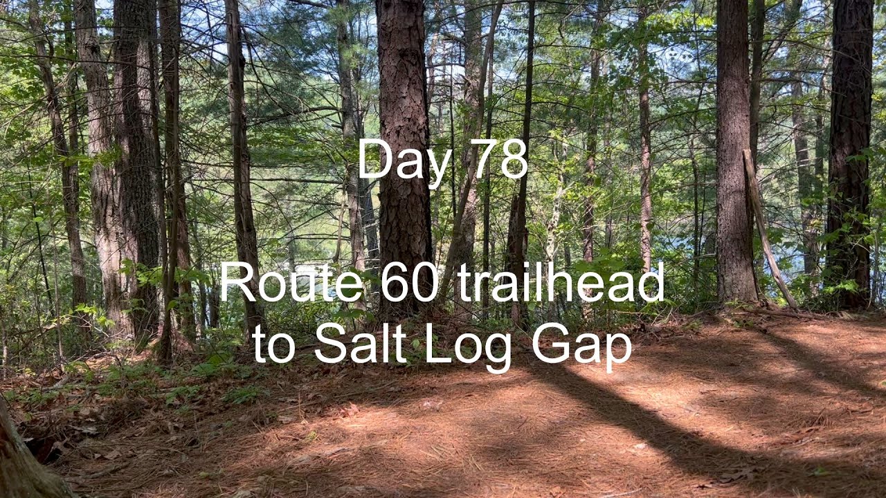 Day 78 - Route 60 to Salt Log Gap - YouTube