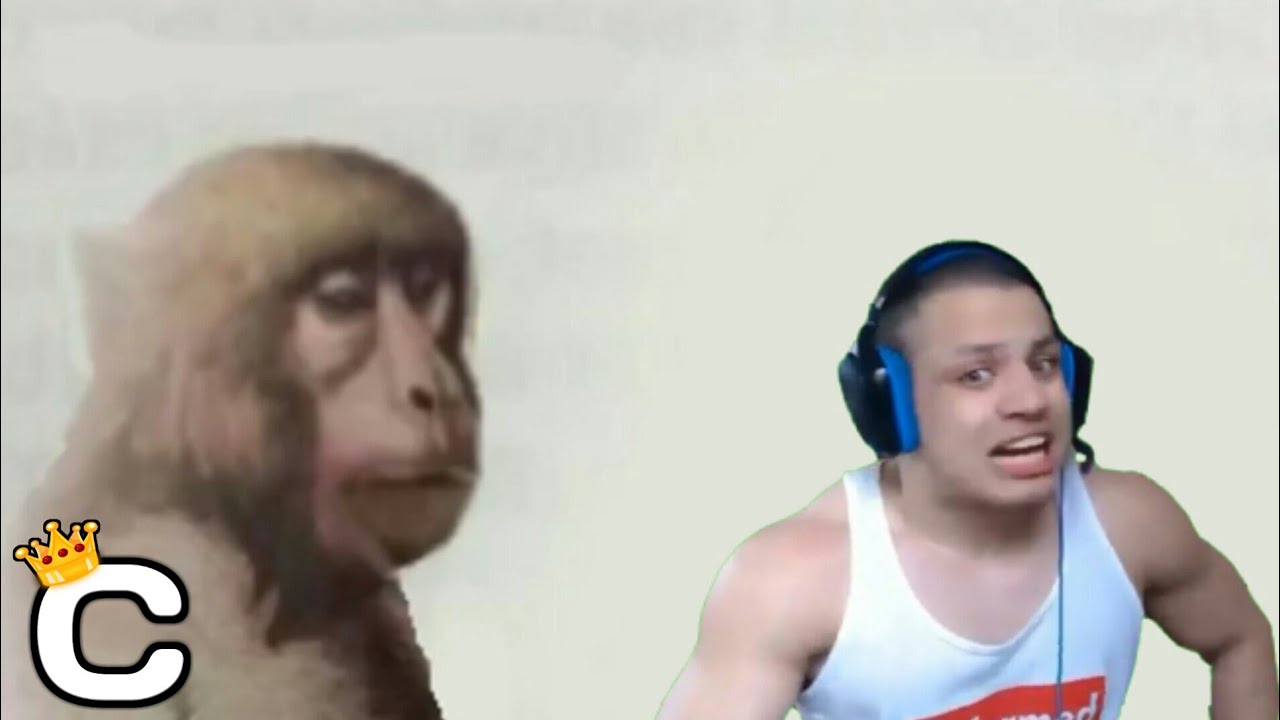 Neuron Activation - Monkey meme - YouTube