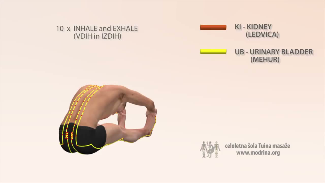 Exercise for meridians of KIDNEY and URINARY BLADDER - YouTube