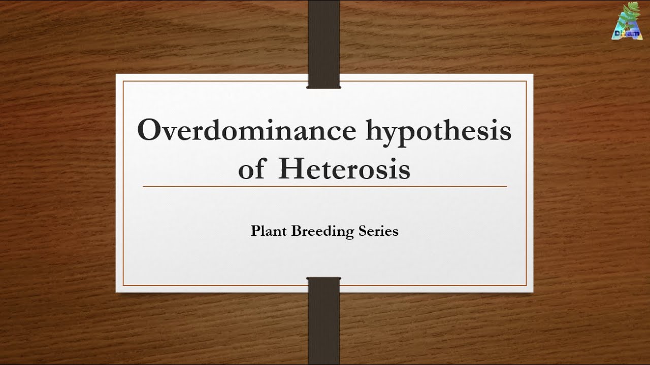 Overdominance Hypothesis of Heterosis - YouTube