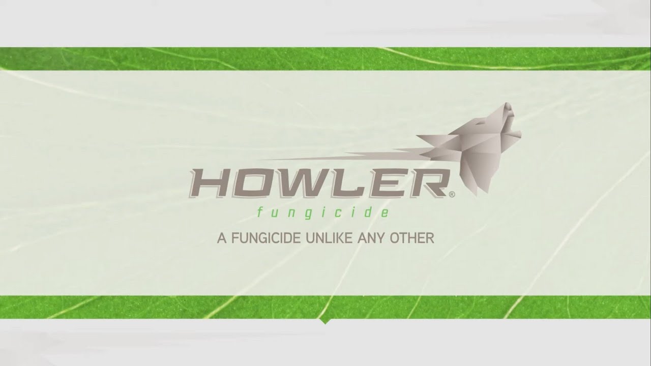 Howler Fungicide - What is it? - YouTube