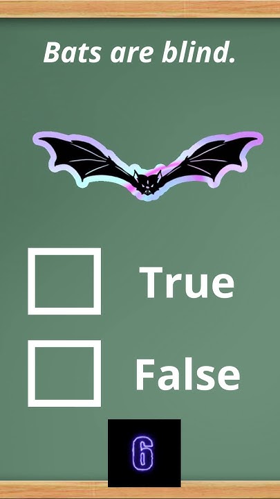 True or False (Bats are blind) #shorts - YouTube