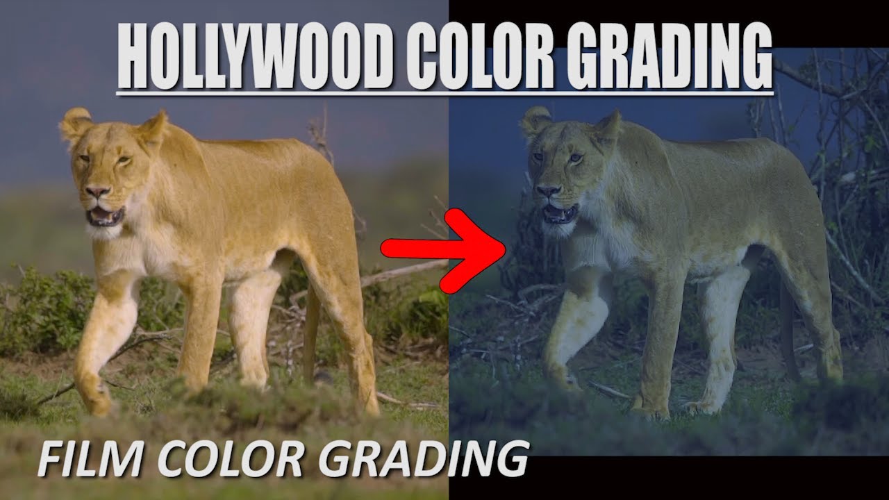 HOLLYWOOD FILM COLOR GRADING || Cinematic Color Grading Premiere Pro ...