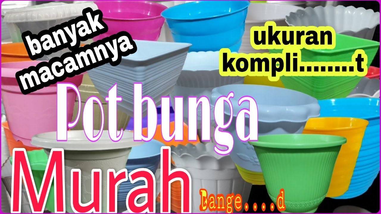 Pot Bunga Murah Dan Terlengkap - YouTube
