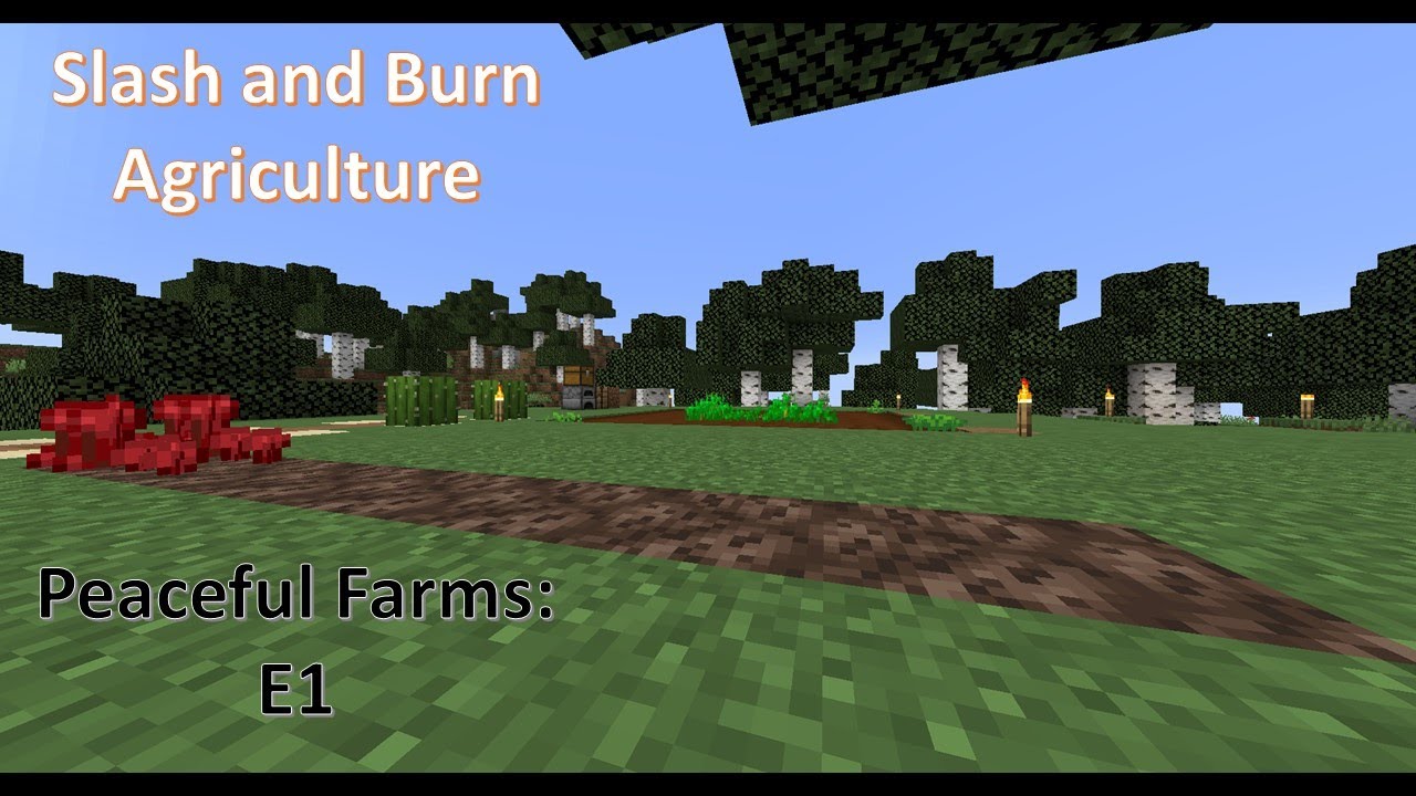 "Slash and Burn Agriculture" Minecraft: Peaceful Farms E1 - YouTube