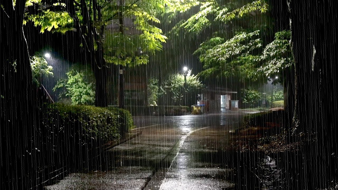 Sleep-Inducing Rain Sounds Recommended for those who Can't Sleep - Best ...