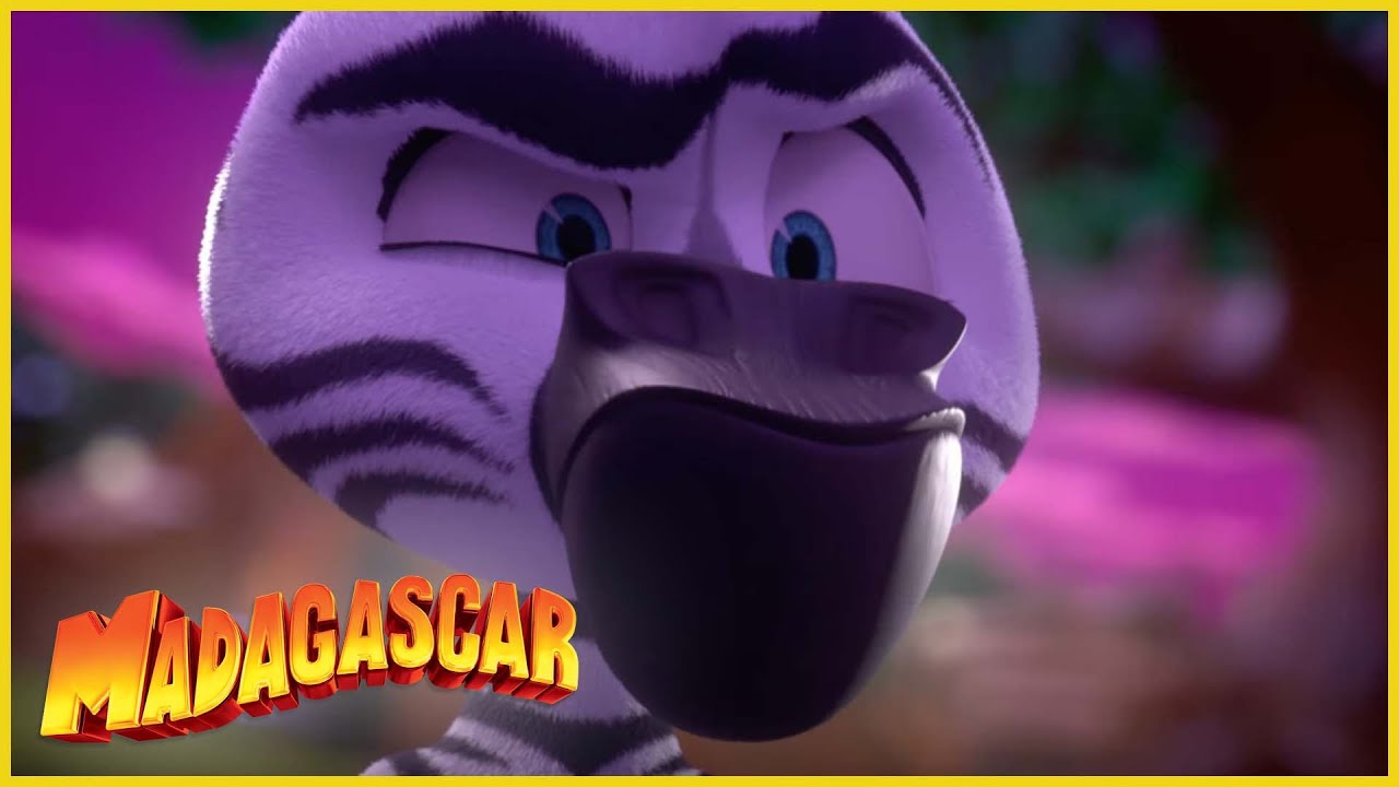 DreamWorks Madagascar en Español Latino | Marty esta enfadado con Alex ...