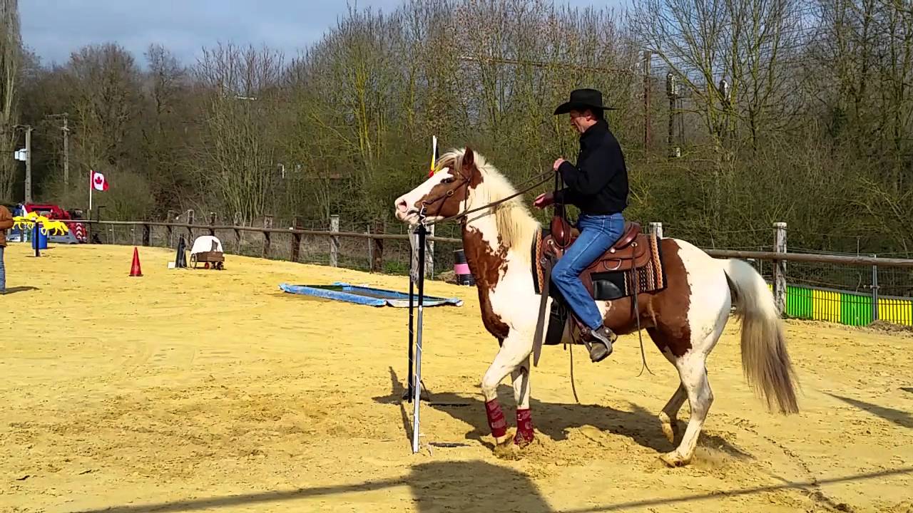 2016 Extreme cowboy race Etrechy2 mars 2016 - YouTube