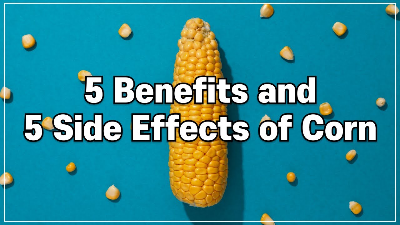 Five Benefits and Five Side Effects of Corn You Didn't Know - YouTube