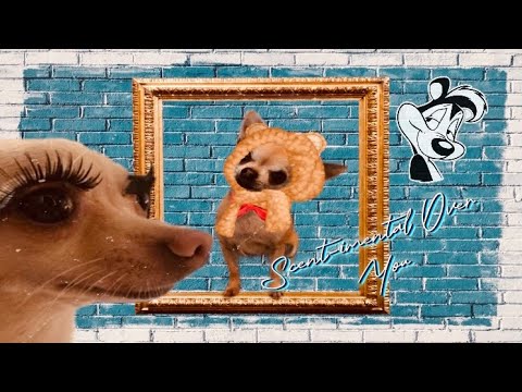 Pepe Le Pew- Scent imental Over You- 1947 Live Action Version - YouTube