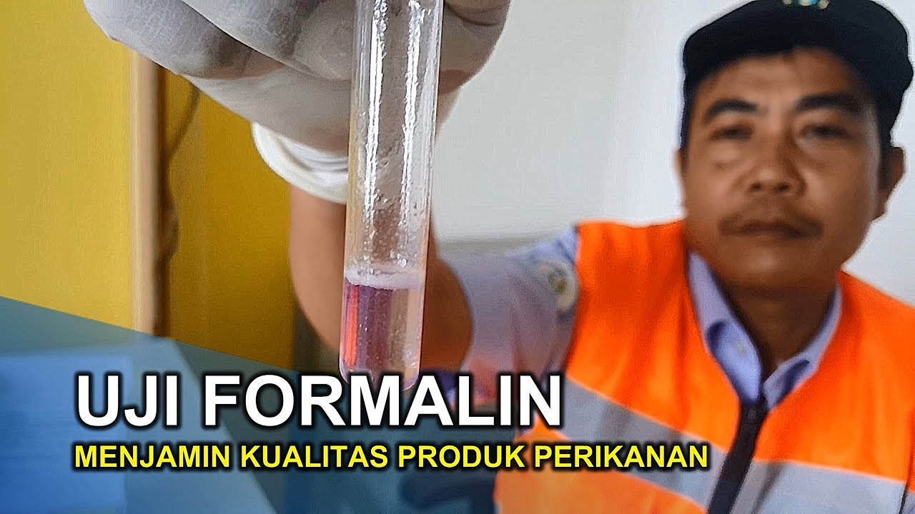 [ILM] Uji Formalin Menjamin Kualitas Produk Perikanan yang Baik - YouTube