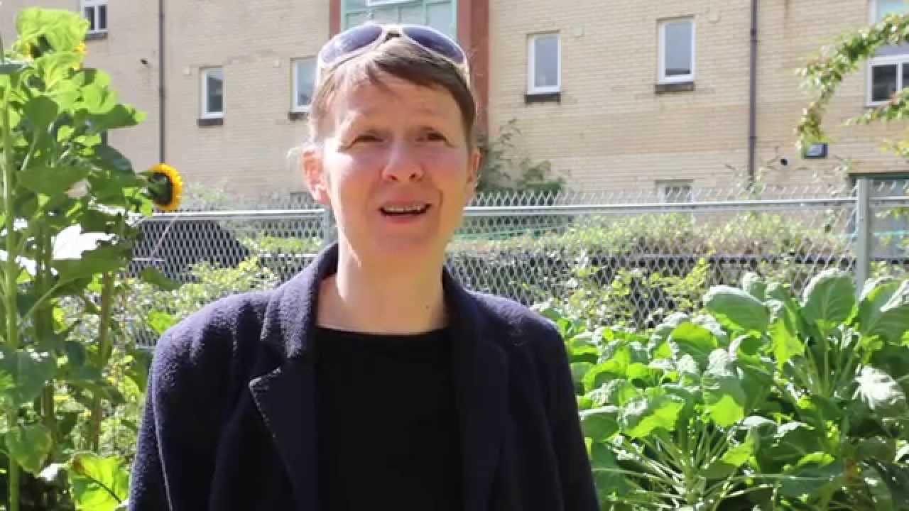 Partick Community Growing Project - YouTube