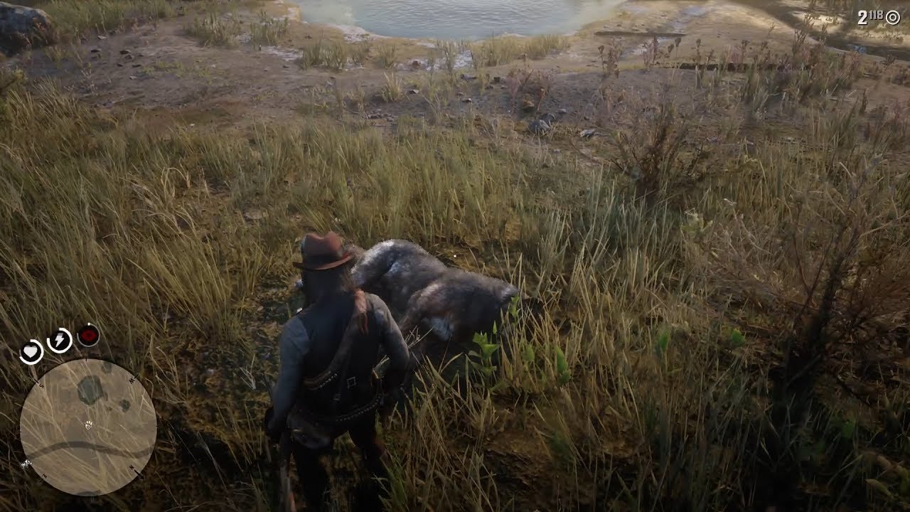 Red Dead Redemption 2 - Legendary Wolf caught ! - YouTube
