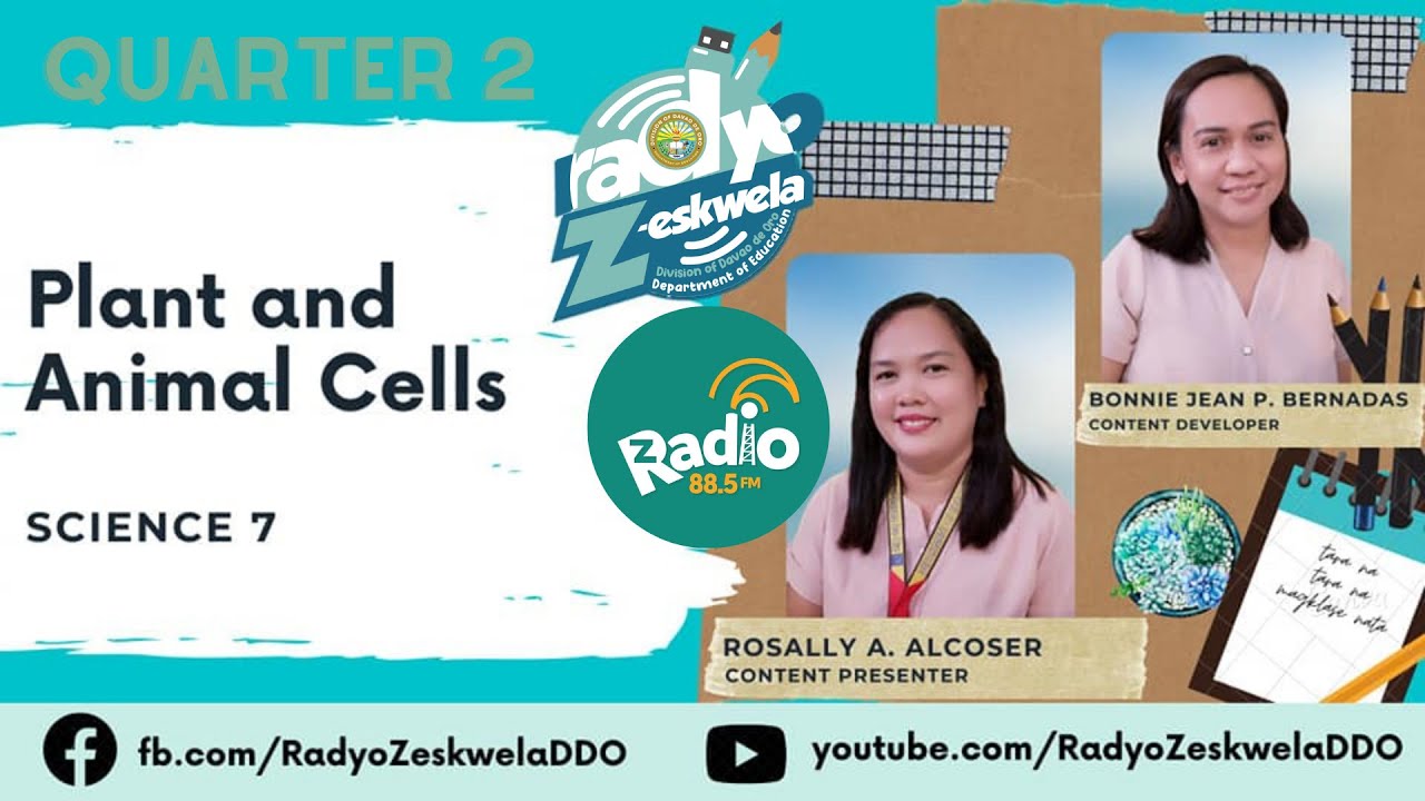 Science 7 | Quarter 2: Plant and Animal Cells - YouTube