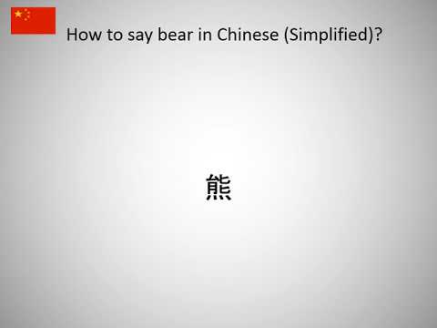 How to say bear in Chinese (Simplified)? - YouTube