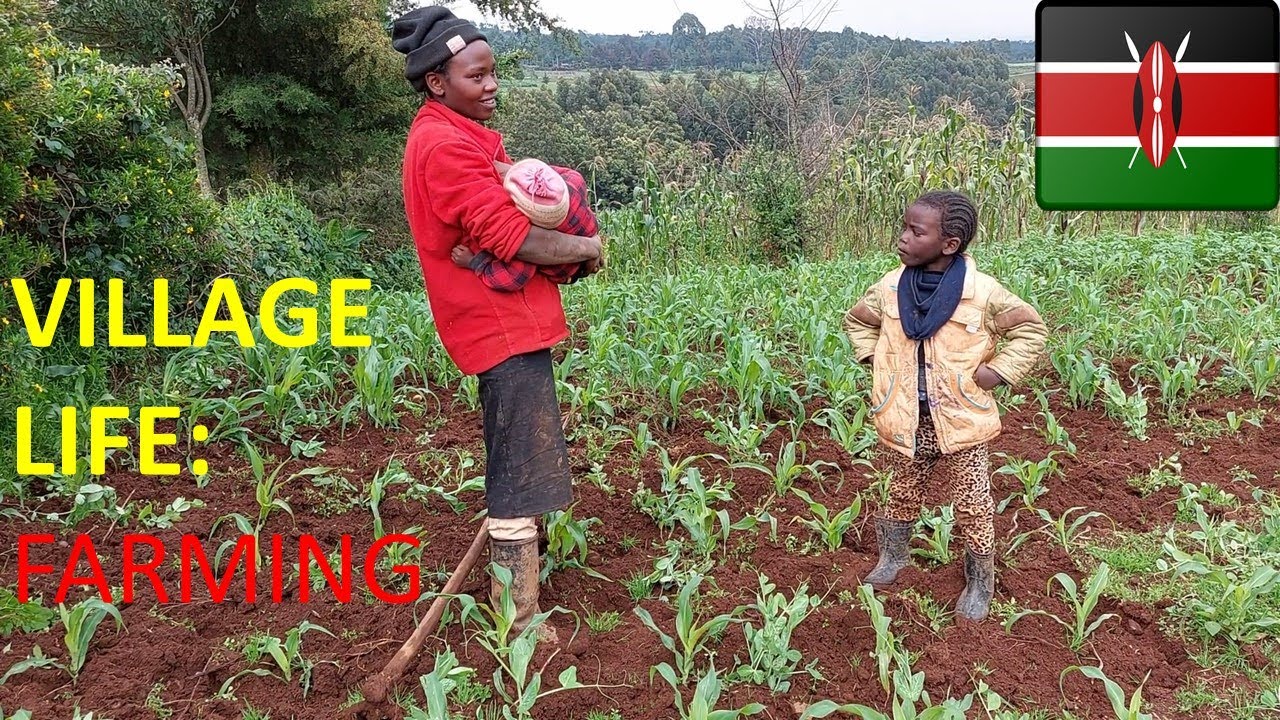 Life In An African Village. Surviving Through Farming - YouTube