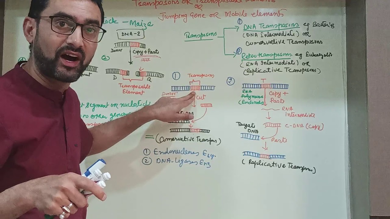 Genetics Lecture-29 ( Transposable elements or Jumping genes) - YouTube