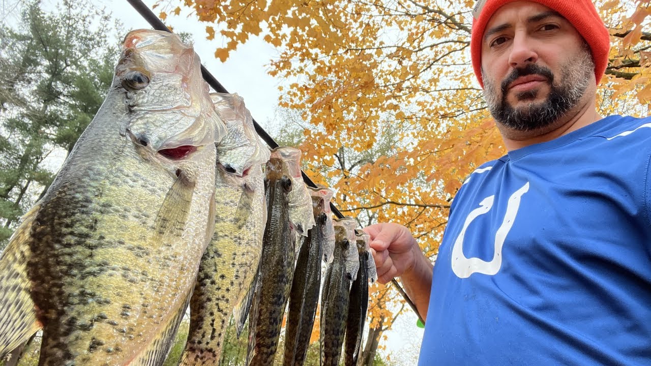 Fall Crappie Fishing with Minnows - YouTube