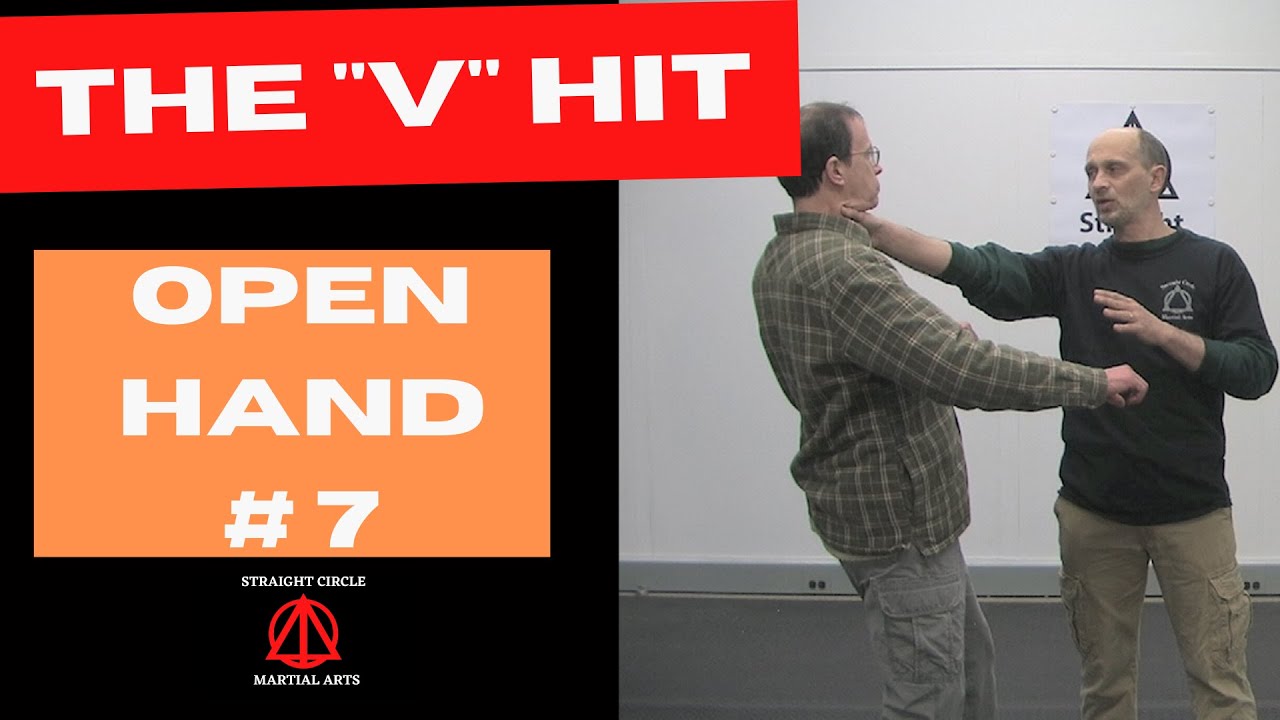 Open hand in a fight #7. The V hit. - YouTube