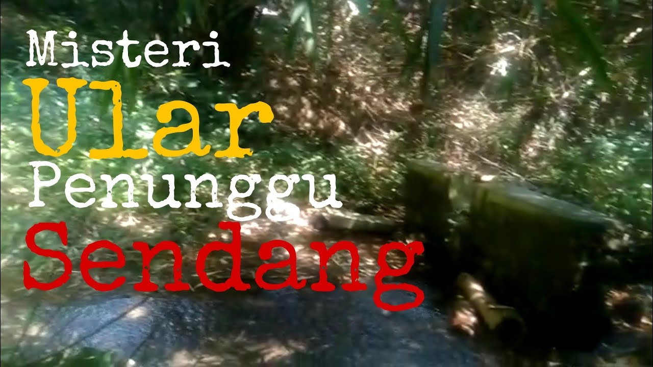 Siluman Ular penunggu sendang angker - YouTube