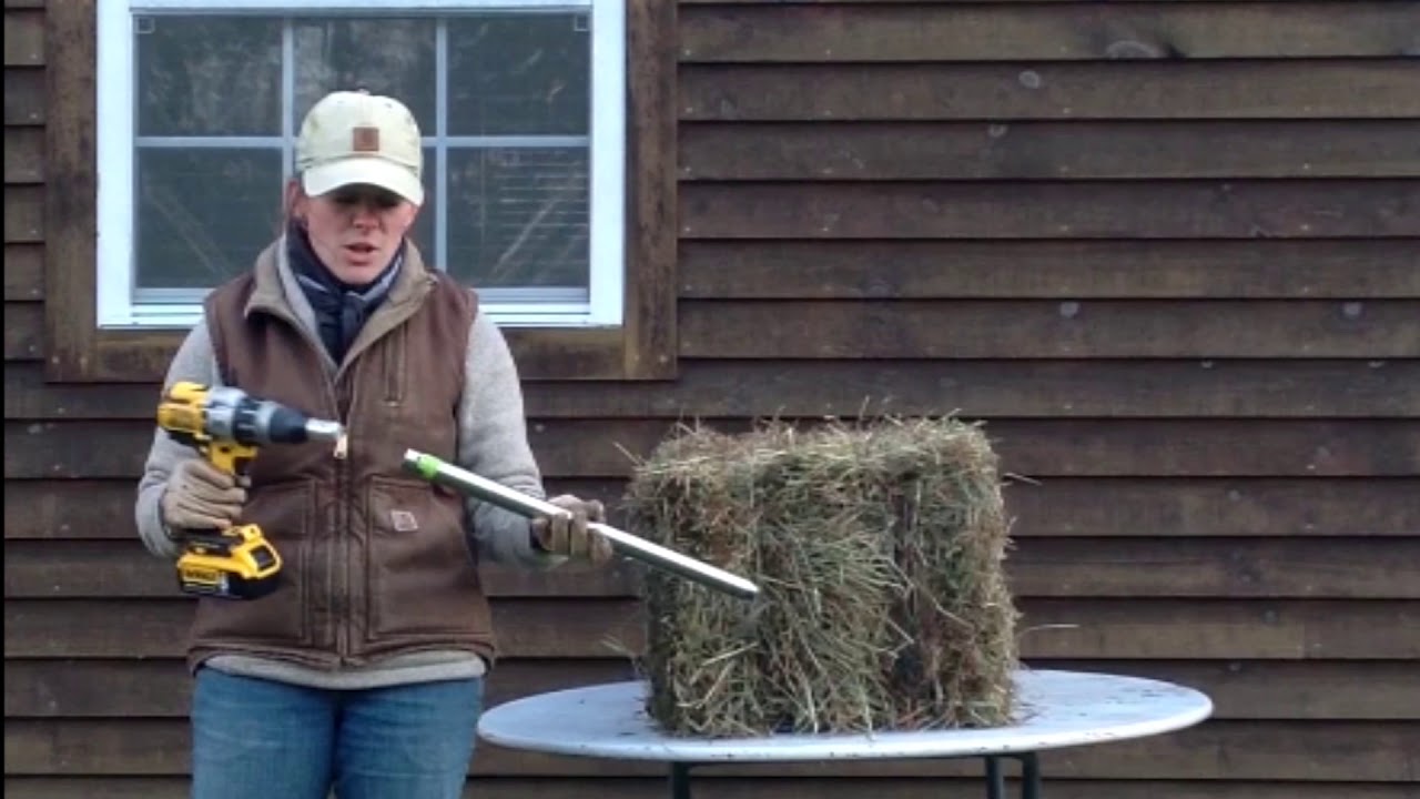 Hay sampling - YouTube