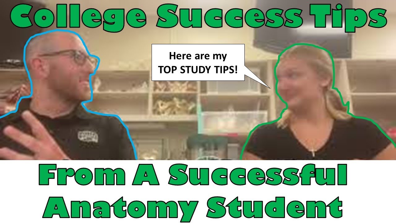 Best Study Tips: College Anatomy - YouTube