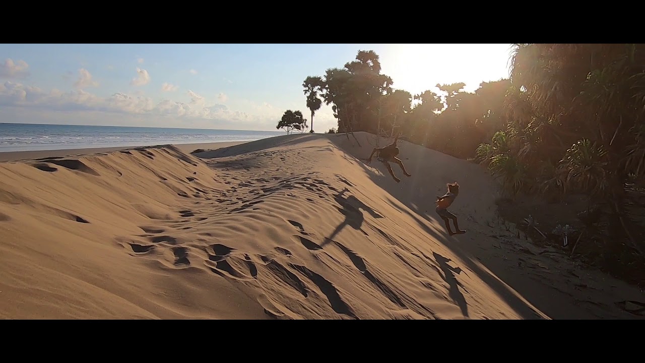 Oetune Beach, NTT, Indonesia - YouTube