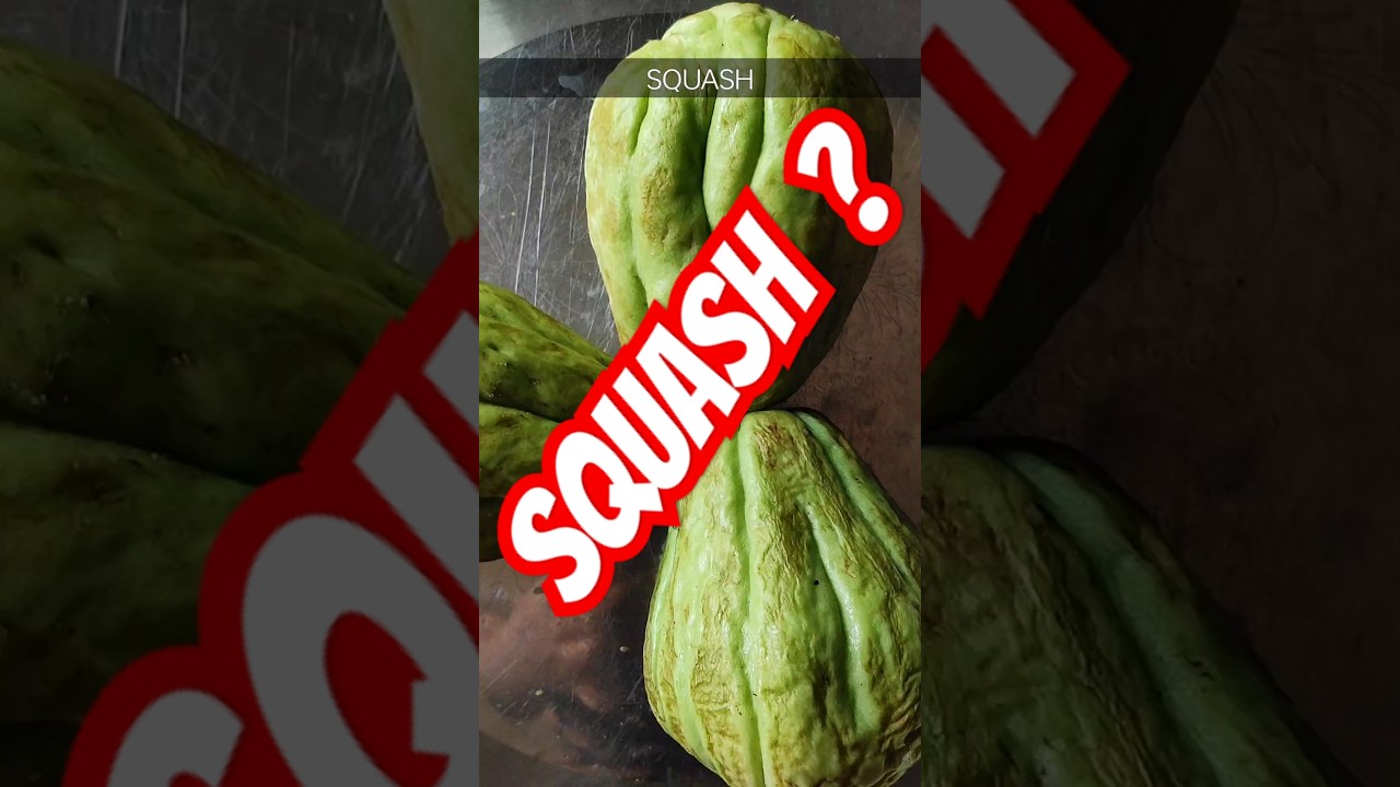 Squash Recipe | Vegitable Recipe | Never Seen Vegitable | Amazing 🤩 ...