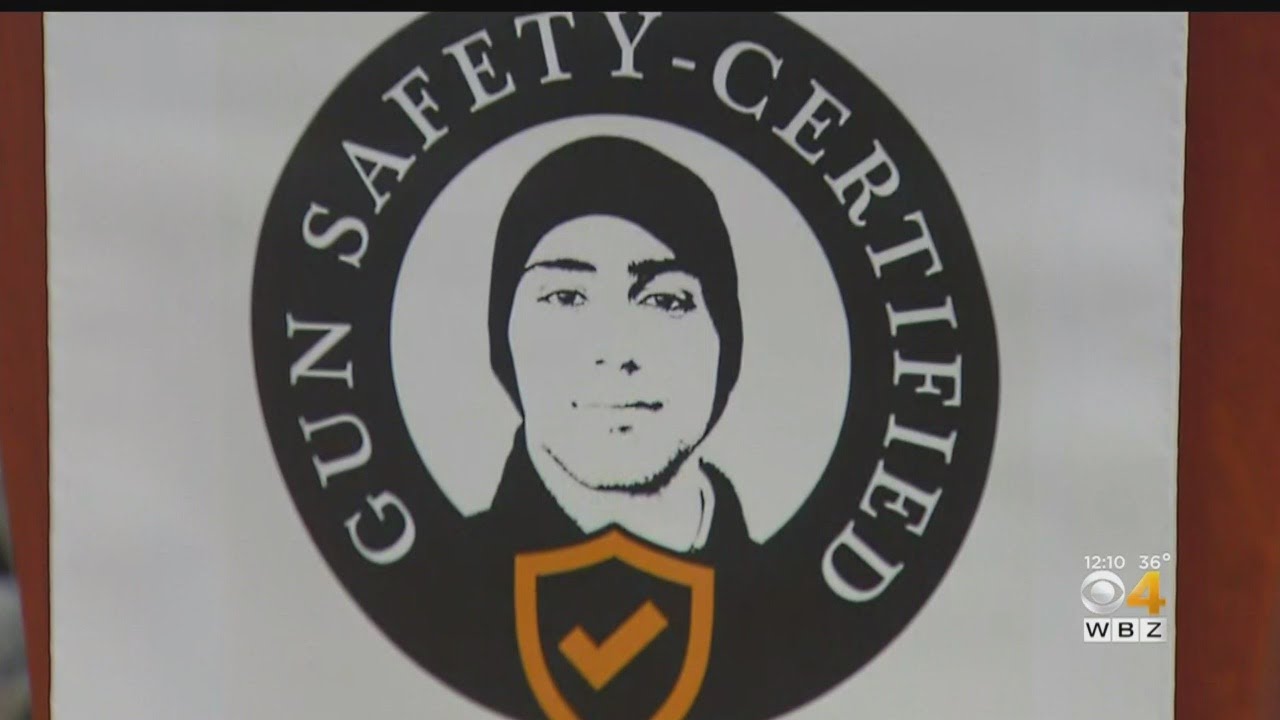 David Hogg, Parents Of Parkland Shooting Victim Reveal 'Gun Safety ...