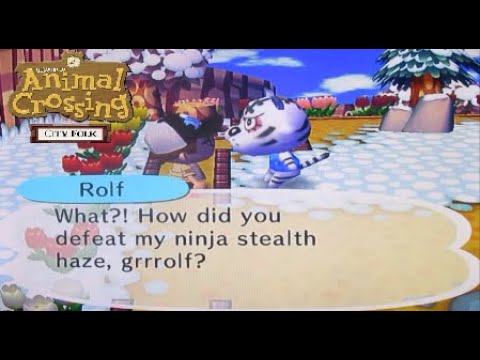 Animal Crossing: City Folk - Hide and Seek With Rolf - YouTube