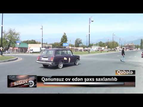 Qəbələdə qanunsuz ov edən şəxs saxlanılıb