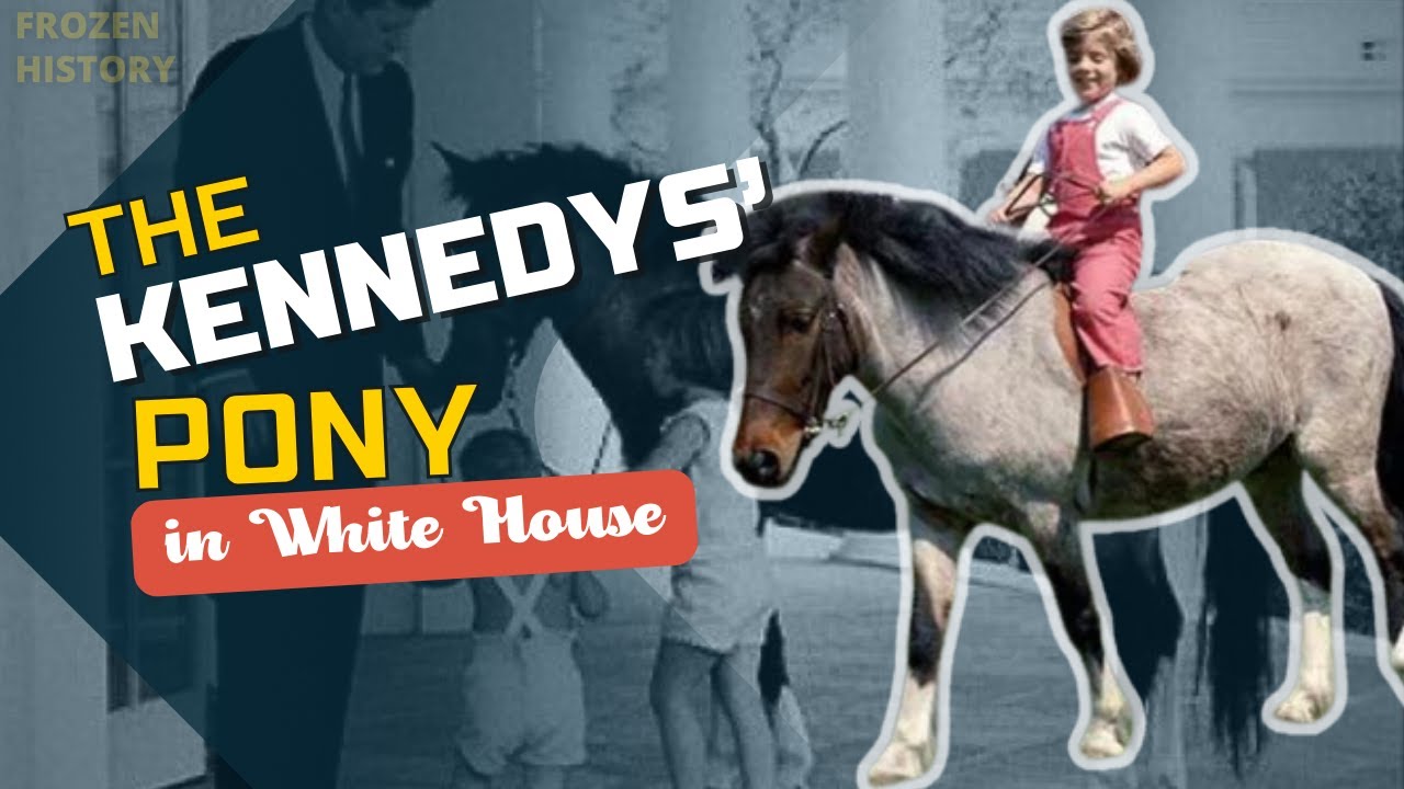 Macaroni: The Kennedys’ pony in White House, 1962-1963 - YouTube