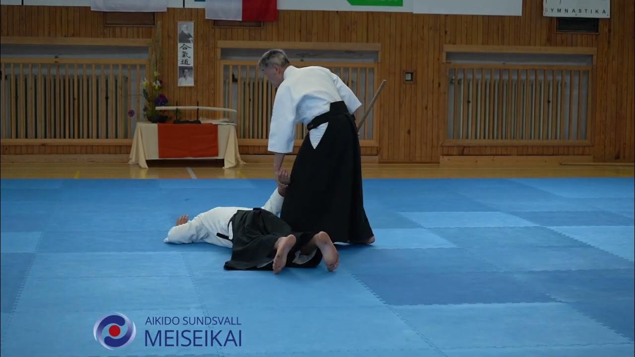 Aikido Ken Tai Ken Ai Hanmi Sankyo Shishiya Sensei 2023 - YouTube