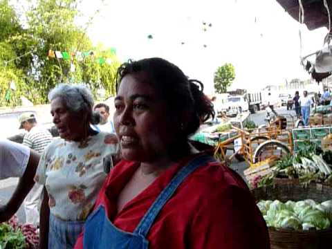 comerciantes de la mina poza rica - YouTube