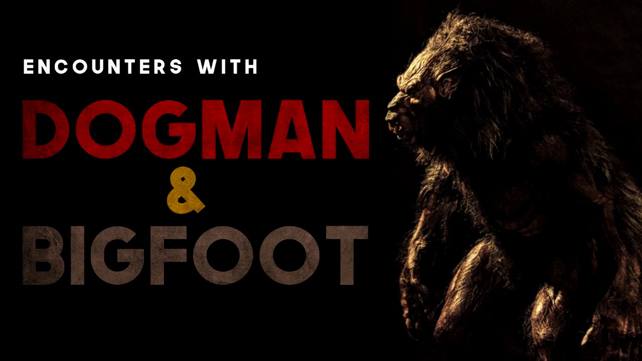 6 ENCOUNTERS WITH BIGFOOT AND DOGMAN (Sasquatch, Dogman) - What Lurks ...