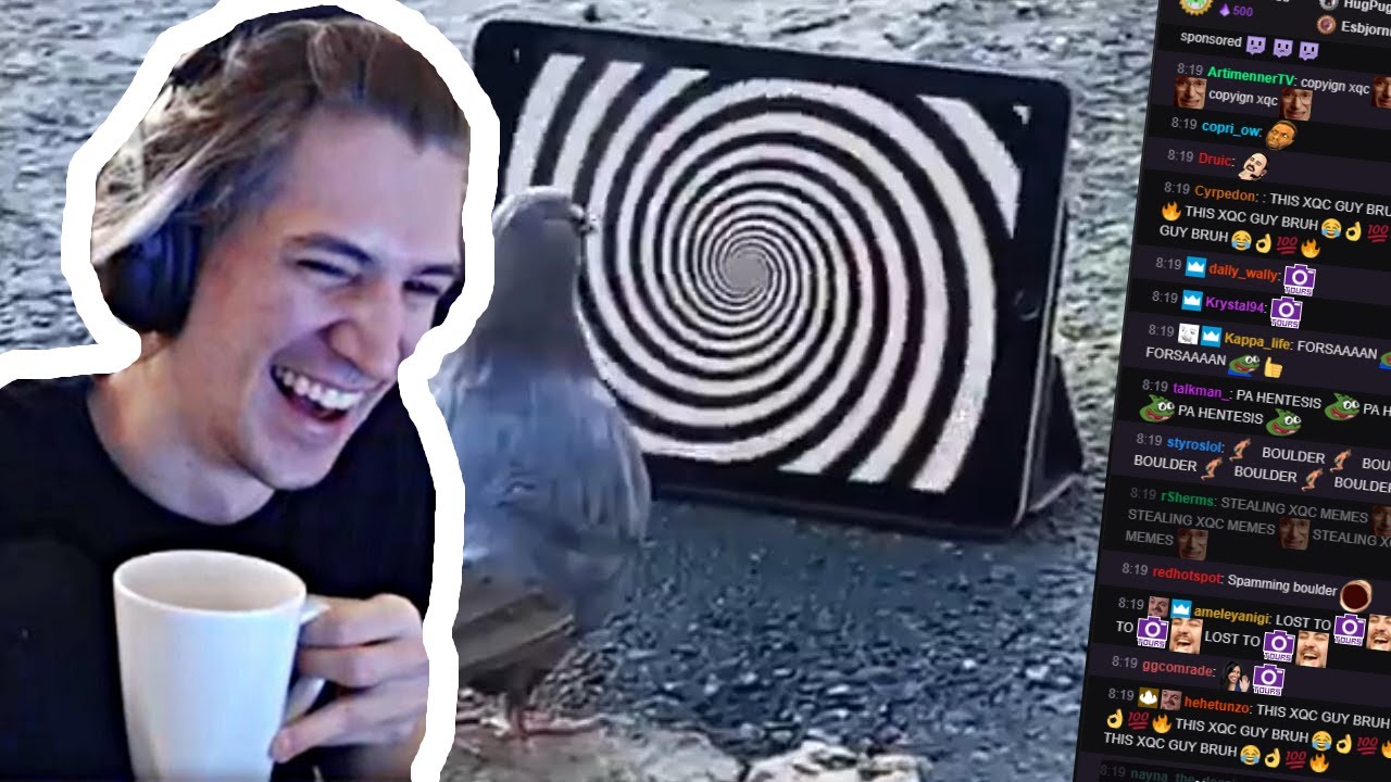 xQc Reacts to UNUSUAL MEMES COMPILATION V124 w/Chat - YouTube