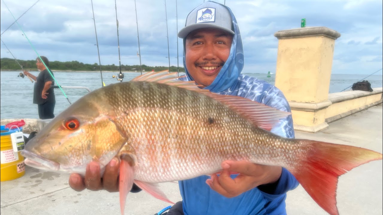 Enorme MUTTON SNAPPER | pescando en fort pierce Florida #fishing # ...